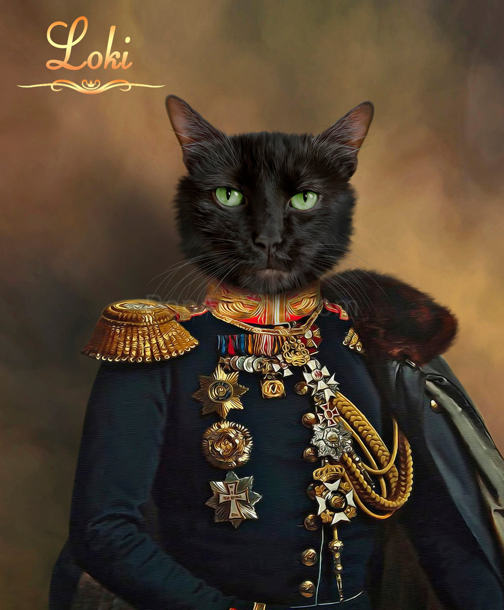 The General - custom cat portrait – PopArtYouShop